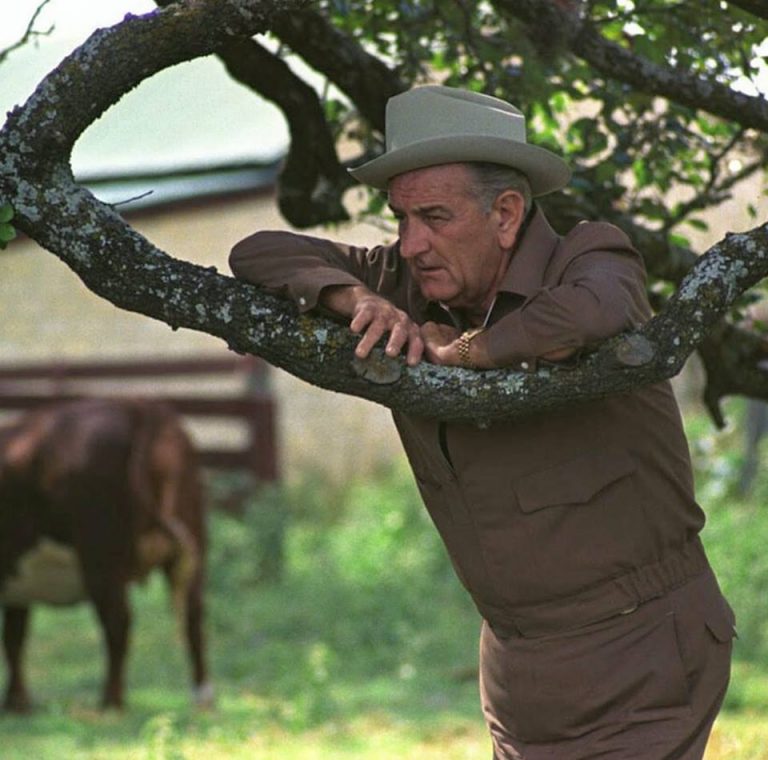 20 years in Secret Service by Rufus W. Youngblood